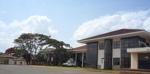 Beca para realizar estancia de tres meses en el International Livestock ...